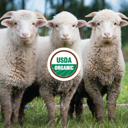 100% Natural Latex Certified Mattresses USA | Organa Mattress – Organa USA